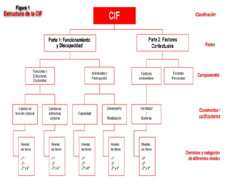 Fisio y Sistema de Salud