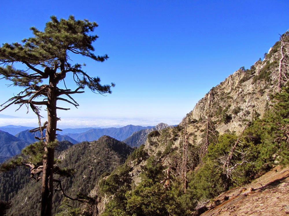 Dan's Hiking Blog: Kratka Ridge Hike - June 14, 2014