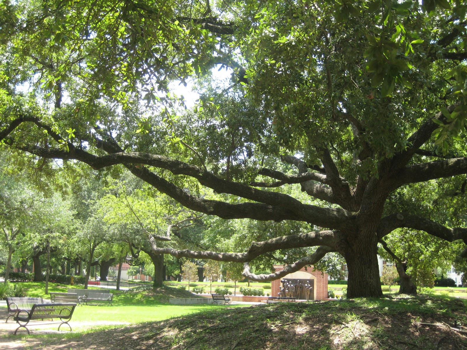 My Life's Rigabamboo: 2012