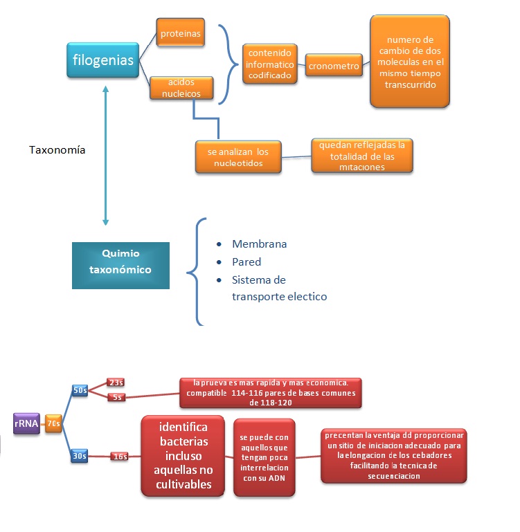 Microbiologia Roger Y Stanier Pdf - mediagetscene