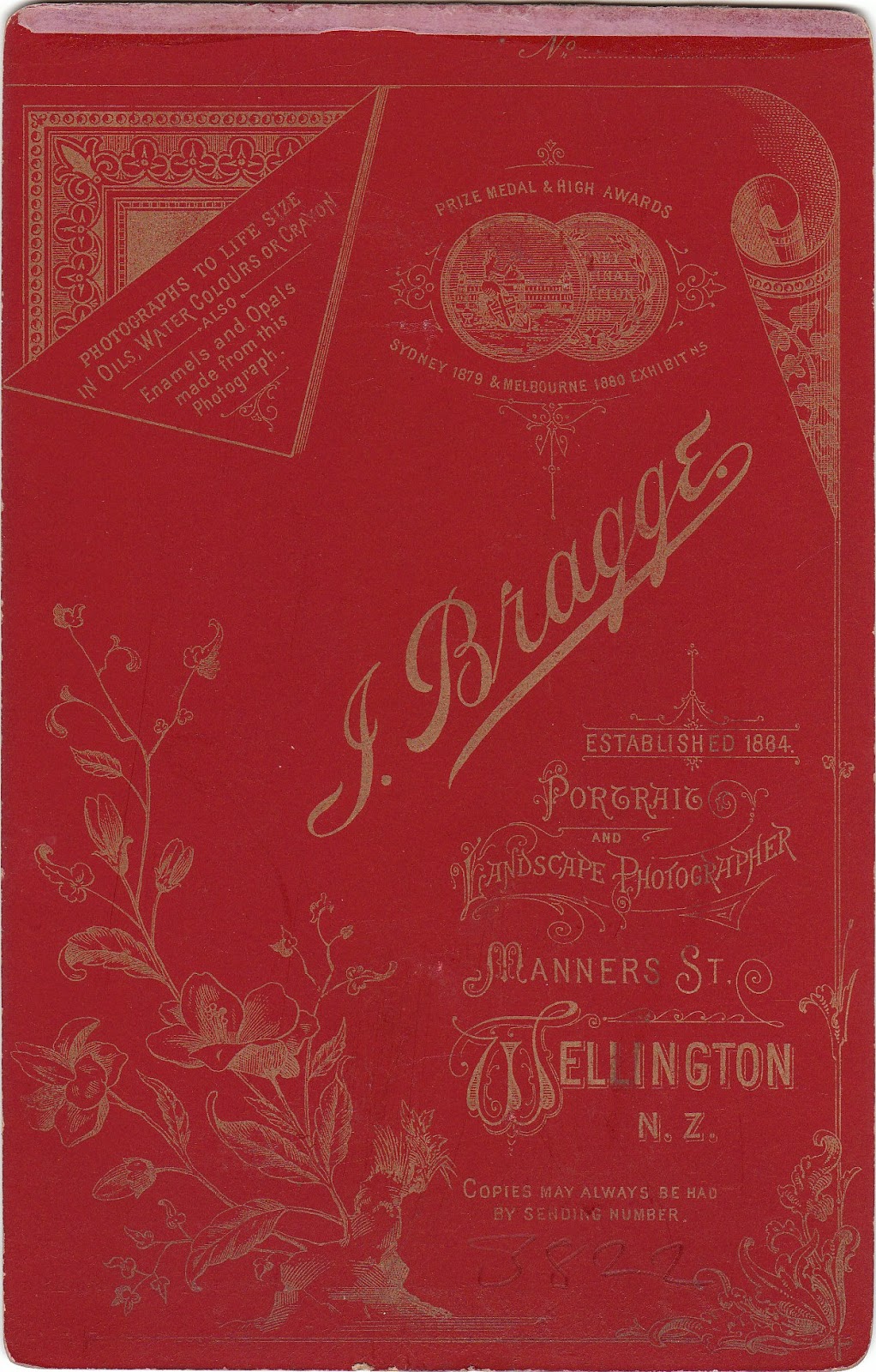 Early New Zealand Photographers: BRAGGE, James