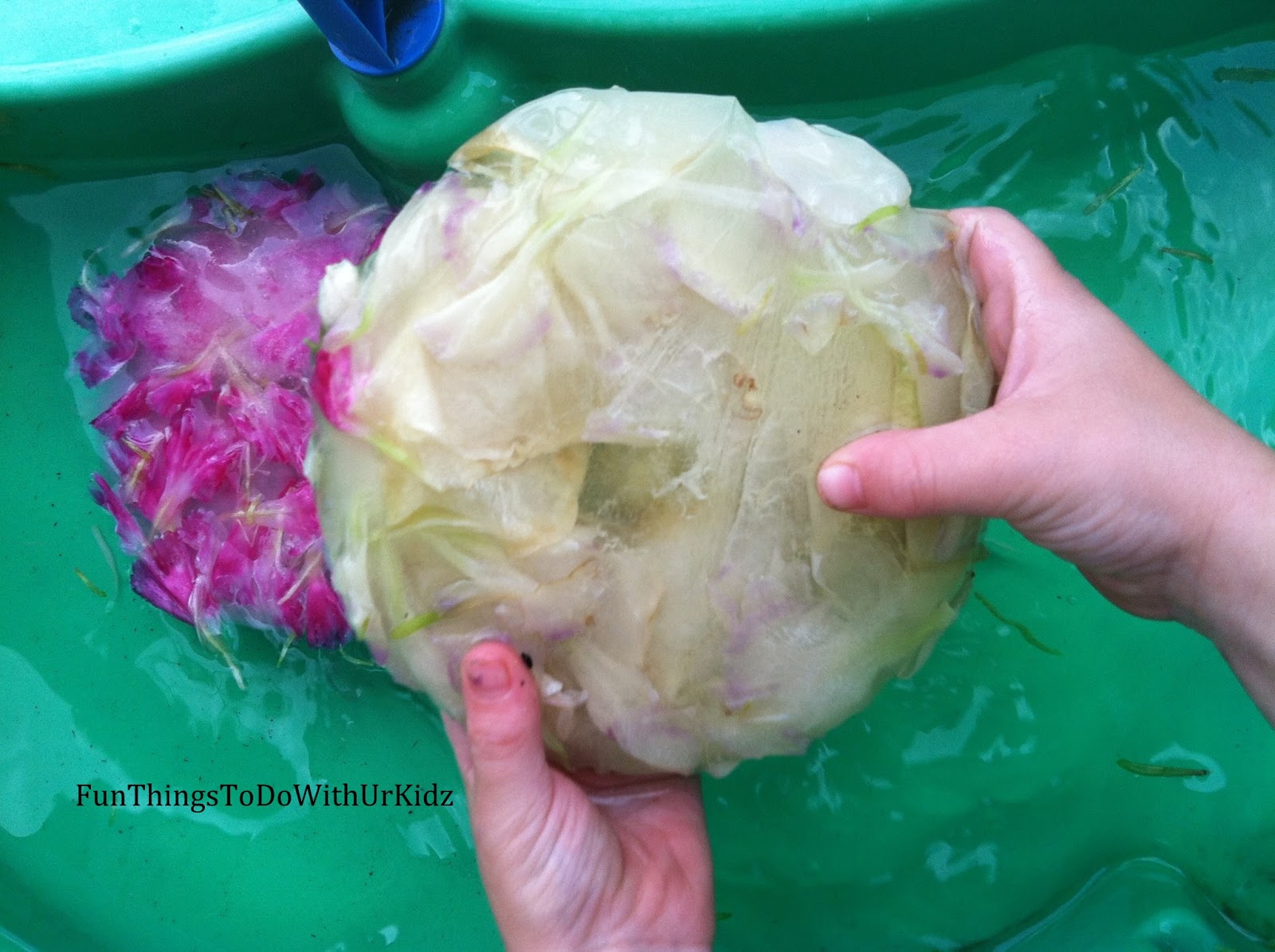 Frozen flower ice play