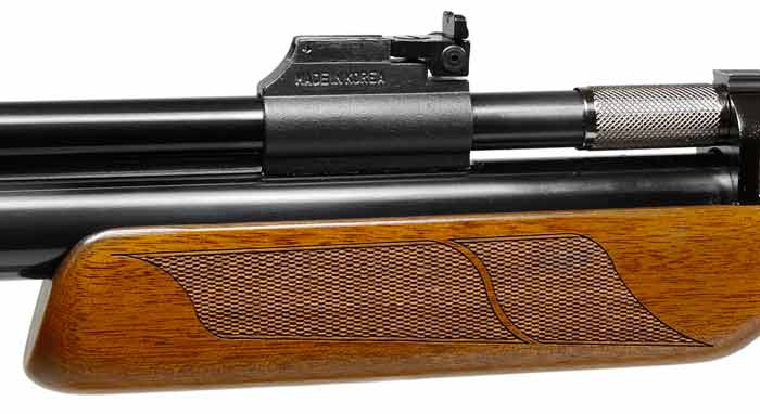 GUN SPORT: Dragon Claw Air Rifle