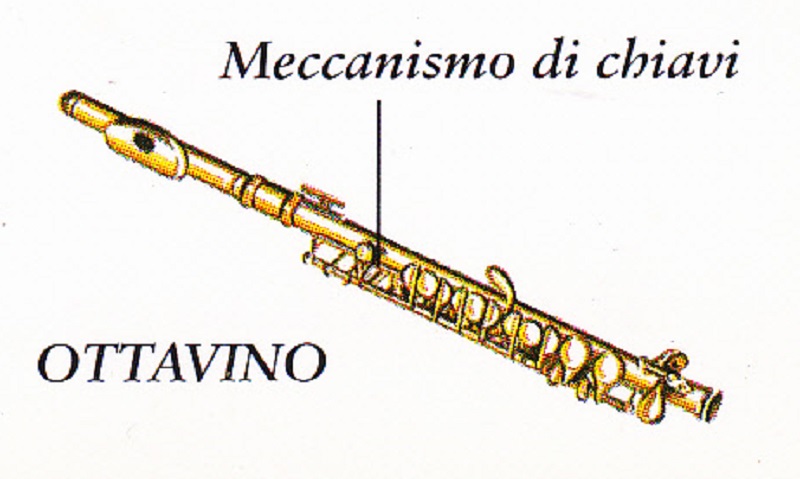 STRUMENTI MUSICALI - FLAUTO e OTTAVINO - Blog di pociopocio