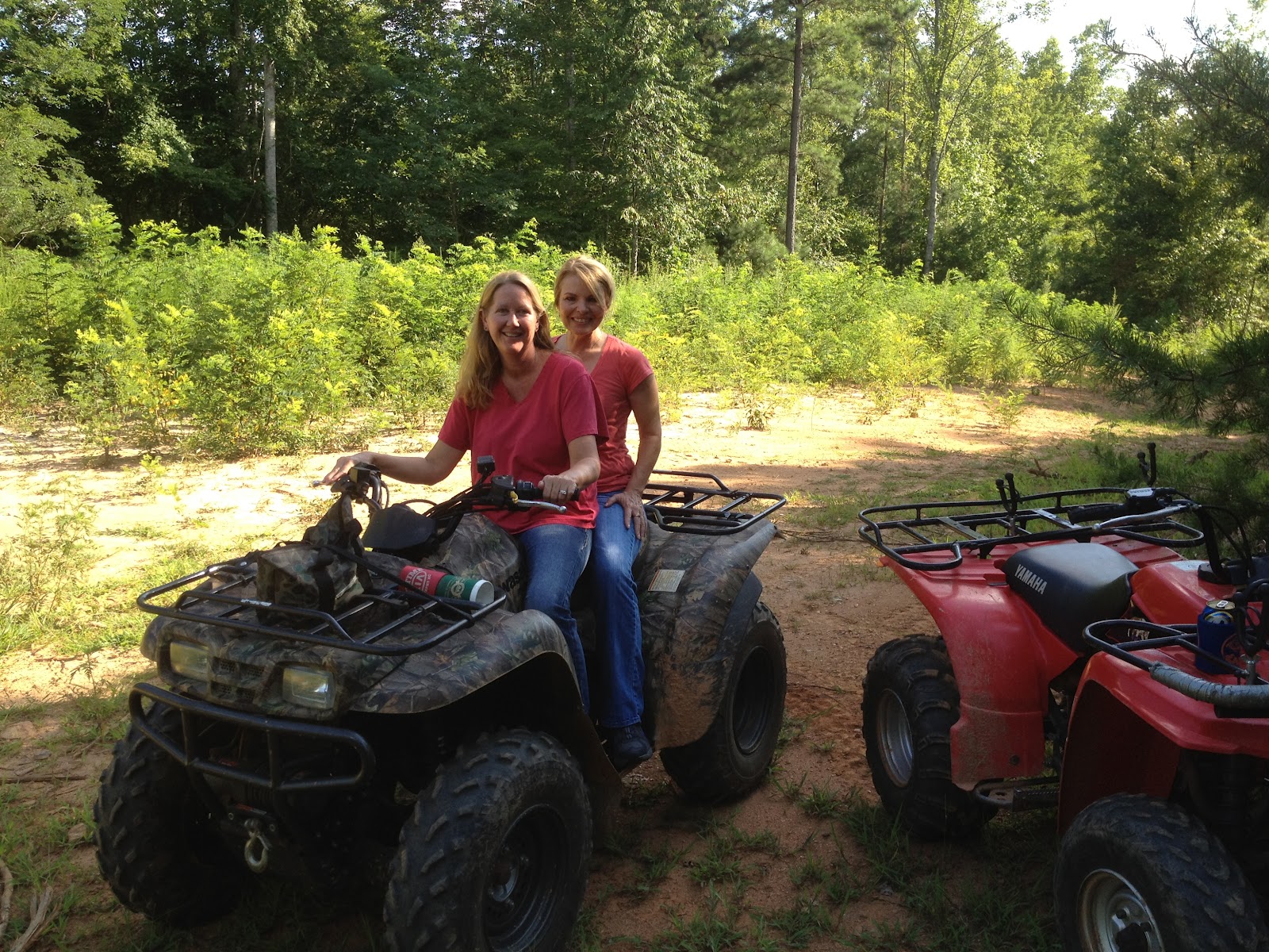 Living my dream...: 4 Wheeling