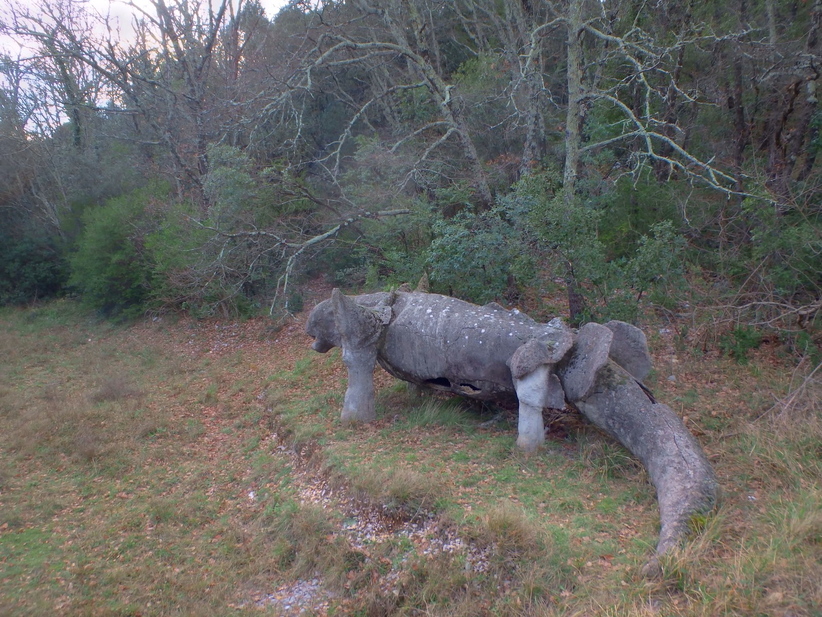 hérault insolite: le dragon de la garrigue
