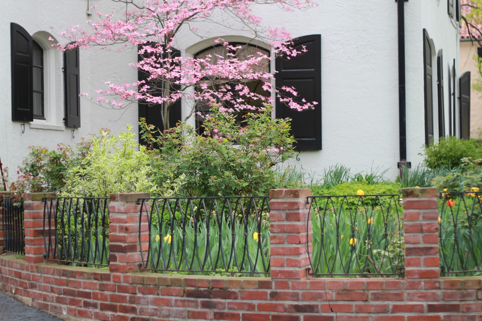 Musings: St. Louis Spring Garden Walk