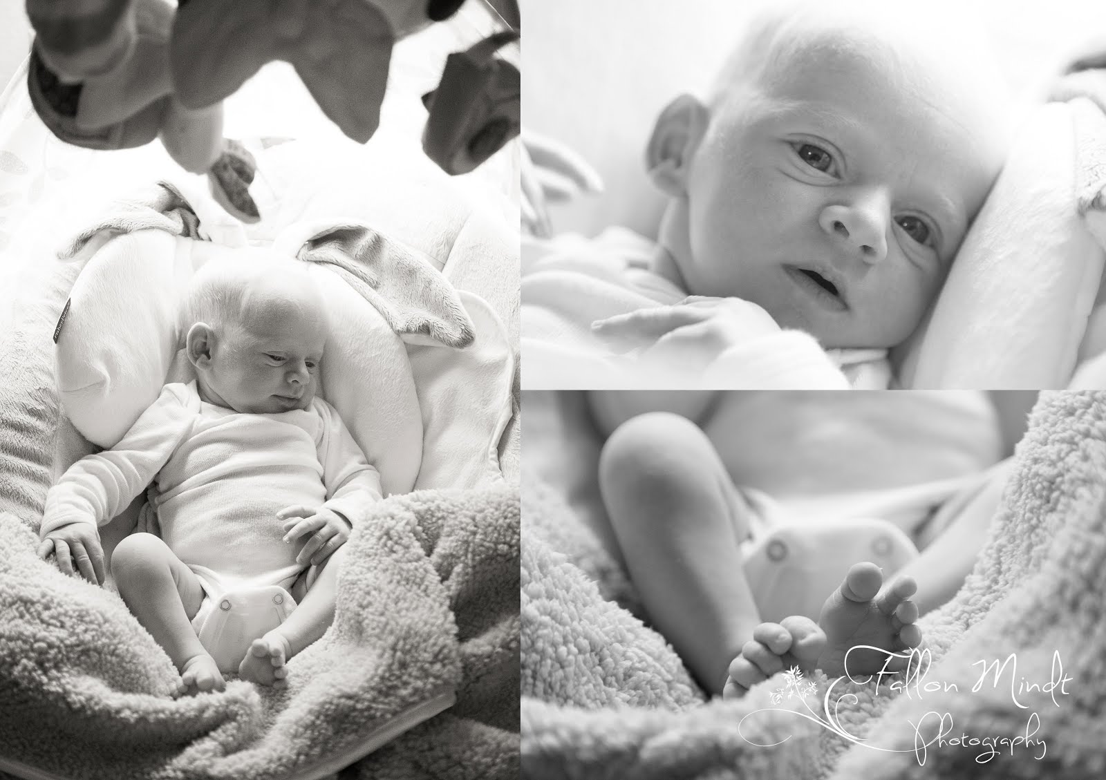 Fallon Mindt Photography