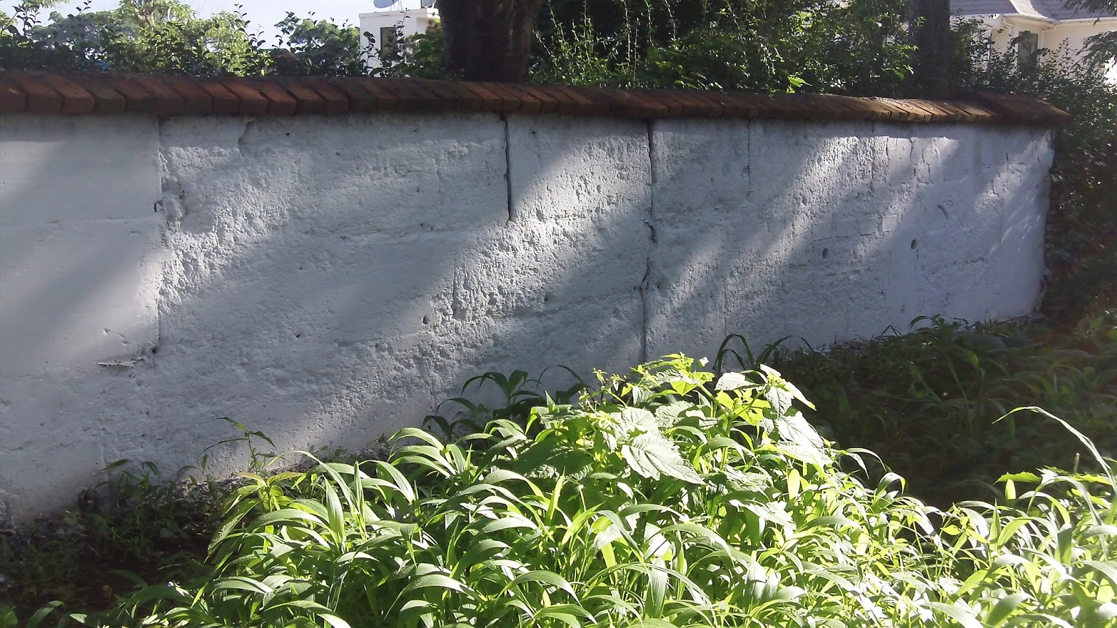 Alternative Building Construction : Lime white wash of rammed earth walls