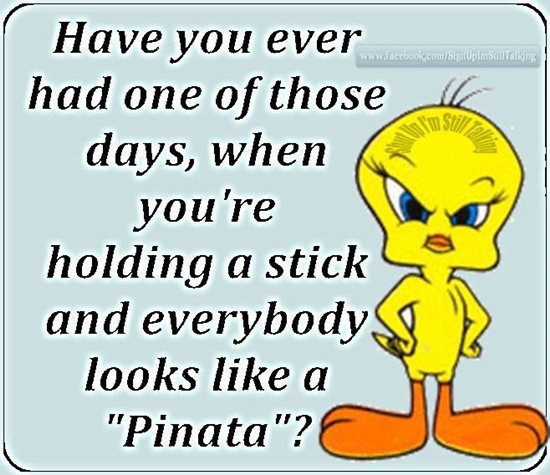 30 Best Funny Tweety Bird Quotes
