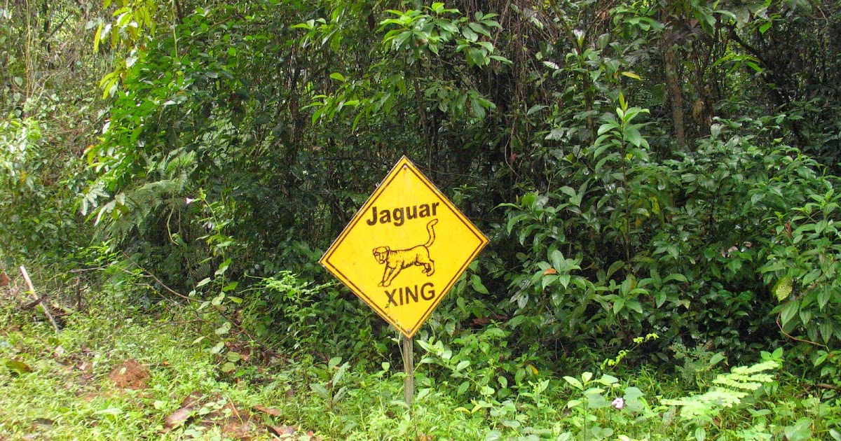 Claire M. Curry: It's a sign