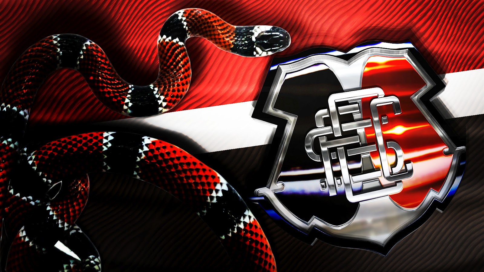 Papel de Parede do Santa Cruz wallpaper - image for wallpaper and ...