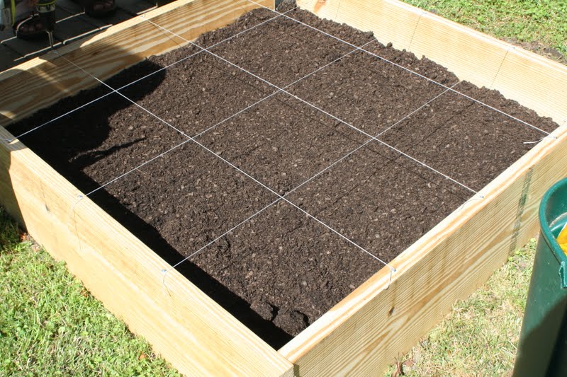 Little Page Turners: How to square foot garden