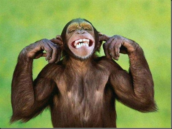 Curiosos e Engraçados: Macacos Sorrindo