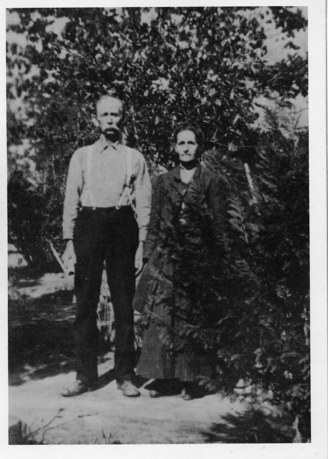 The Butter Genealogy Blog Including Collateral Surnames O'Neal, Dunn ...