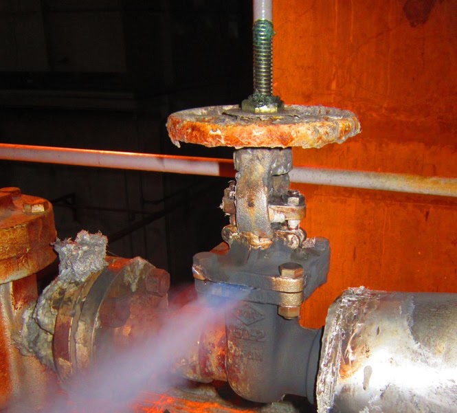 Into my world: On line leak sealing Steam trap isolation valve