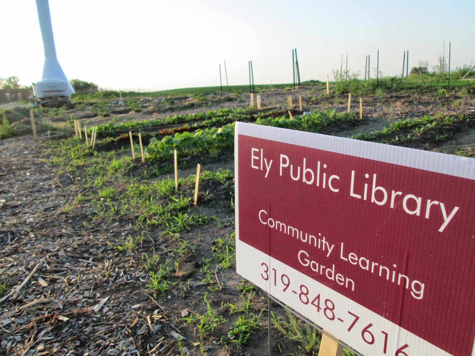 The Farmers Market in Ely, Iowa