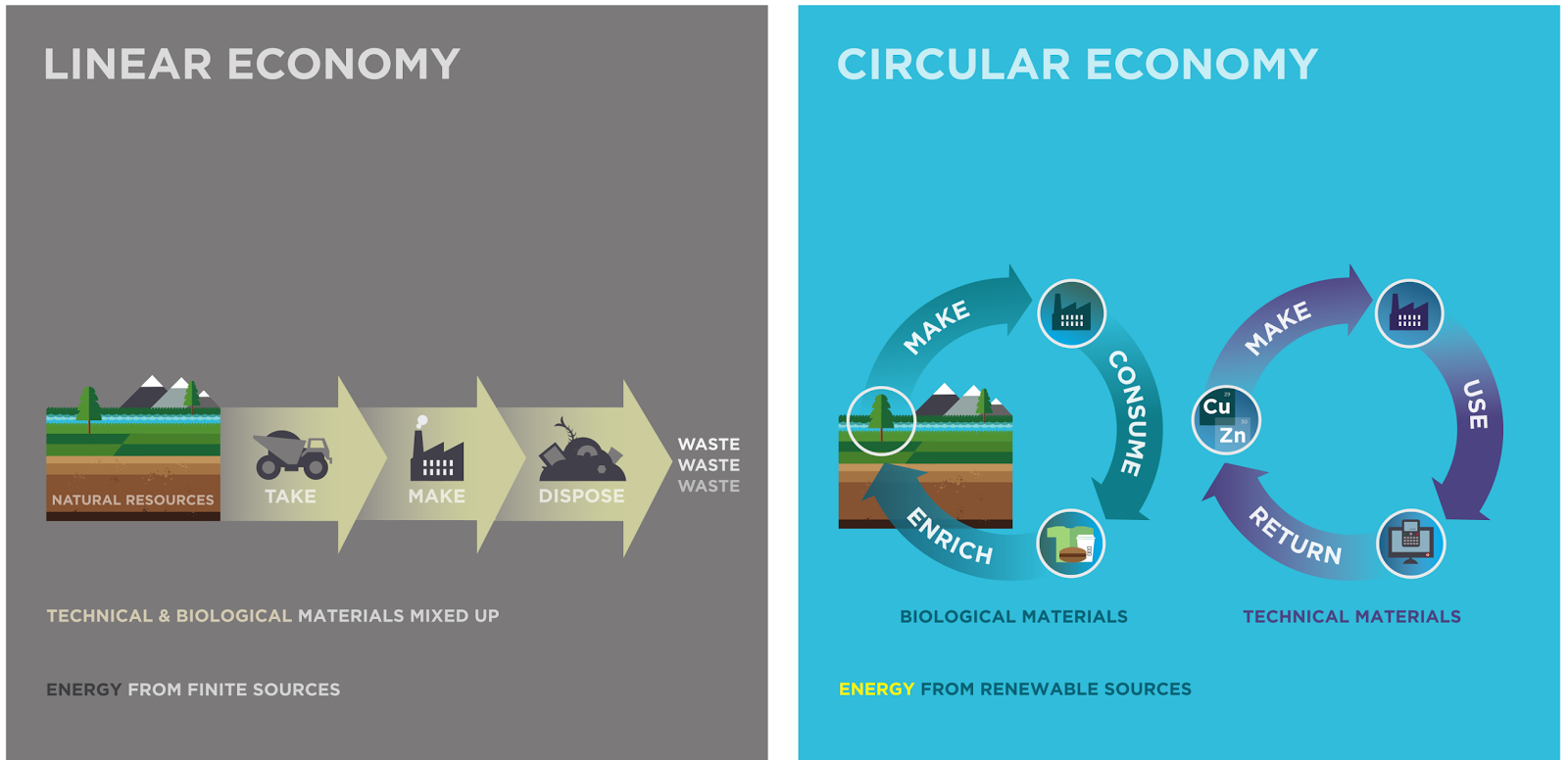 The difference between linear and the circular economy models