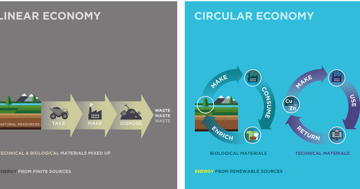 The difference between linear and the circular economy models
