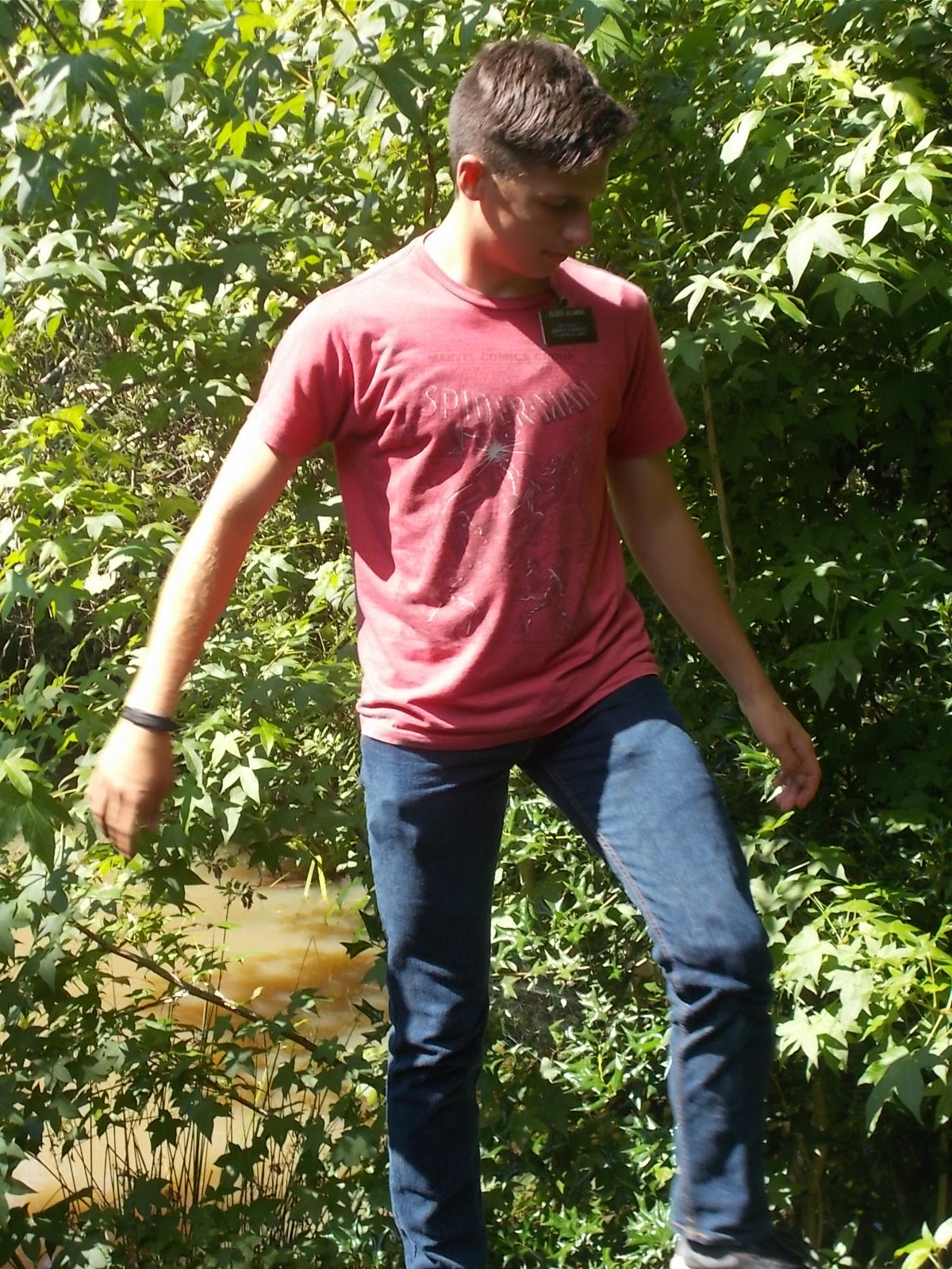 Journey Through Georgia: Below the Gnat Line