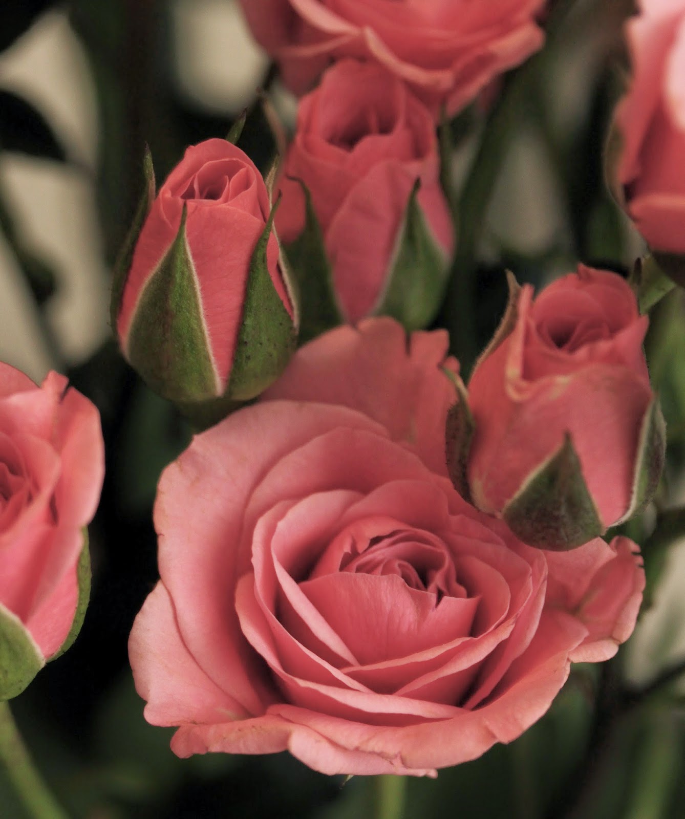 A Bubble off center: Weeks end ...