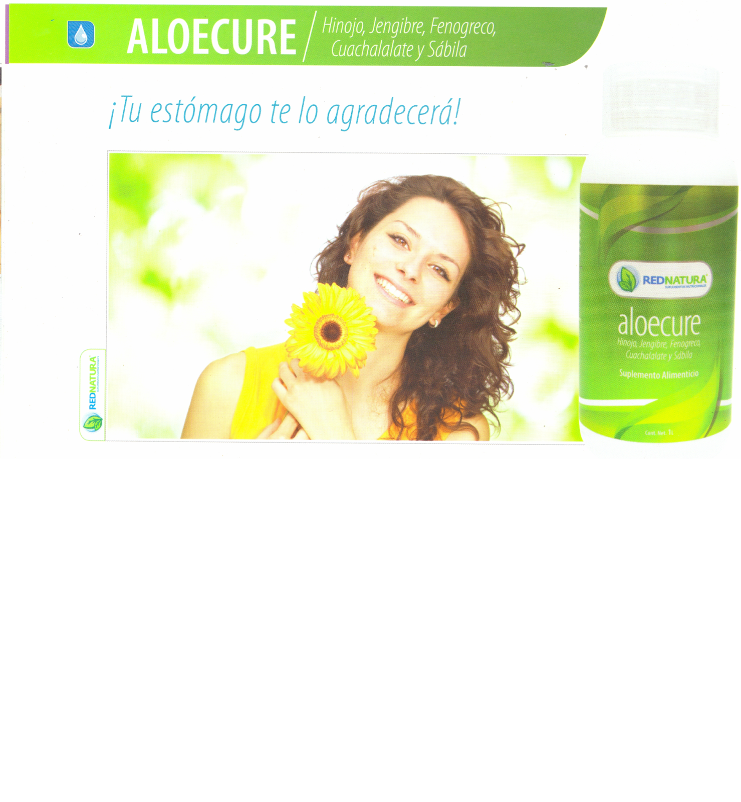 REDNATURA ACAPULCO: OXIALOE DE REDNATURA