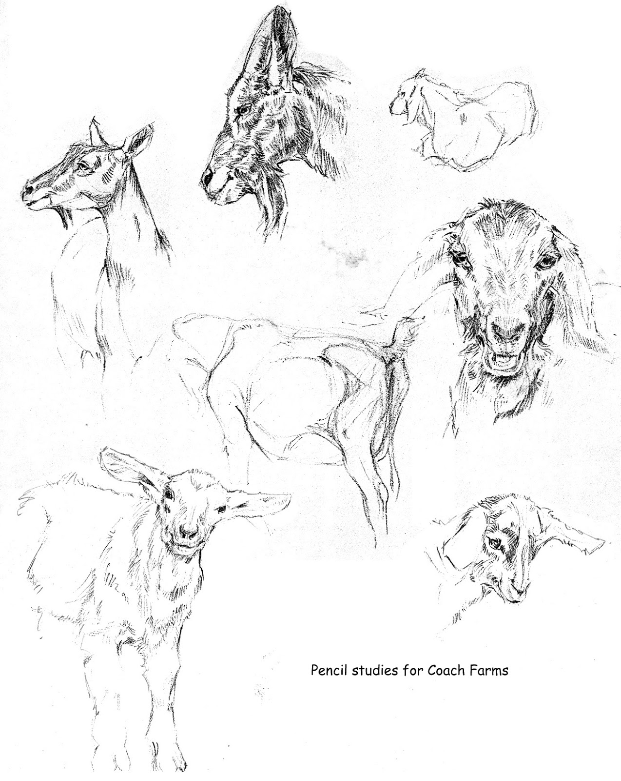 FULL CIRCLE - Old School to New School Drawing and Painting: Improve ...