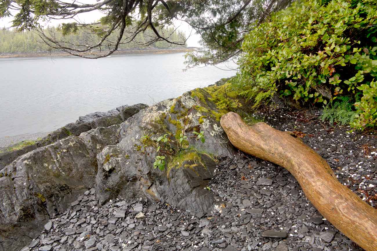 Bob's Photos: Alaska May 2012