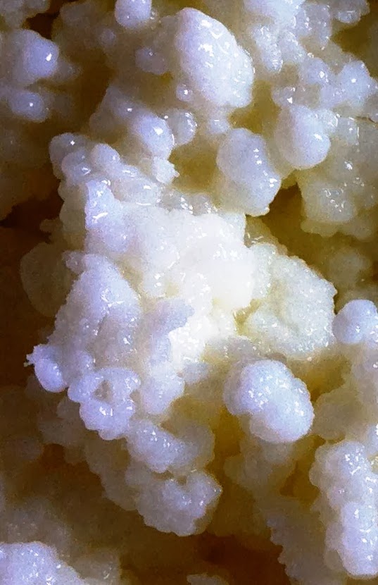 Health, Sport & Science: ¿Conoces el kéfir?