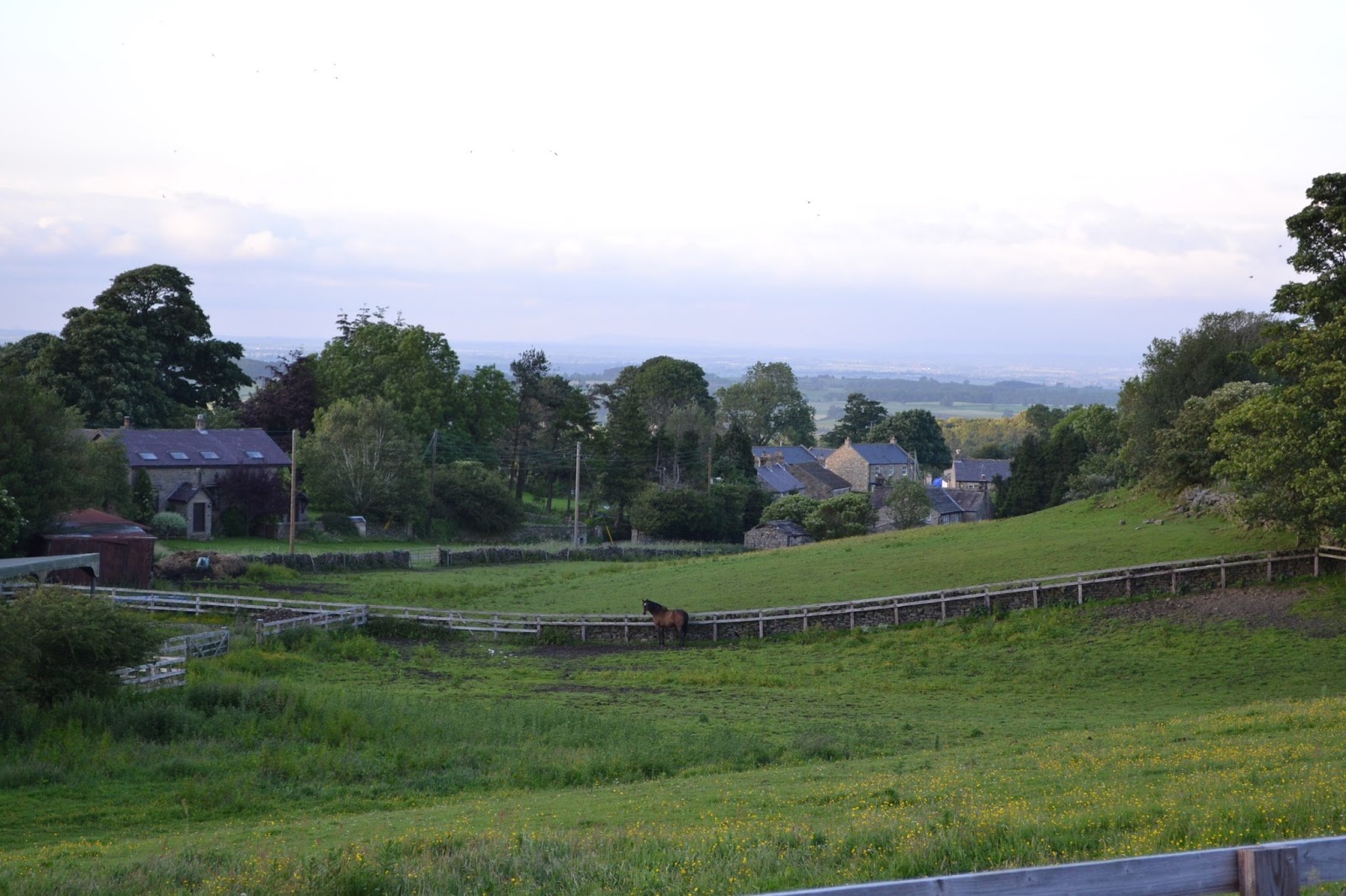 Anne & Peter Out and About: Markenfield Hall & Ellingstring