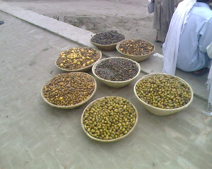 Summer Fruit Paniala