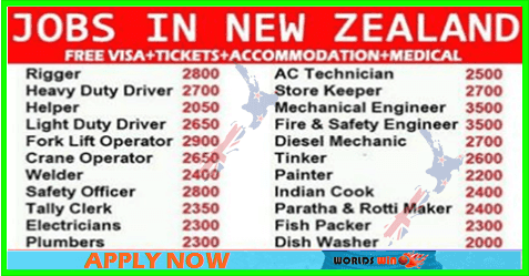 New Jobs in New Zealand – Apply Now