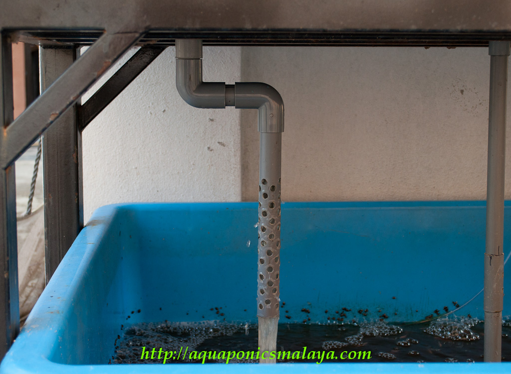 Affnan's Aquaponics: Mini Siphon - Improving Previous Design