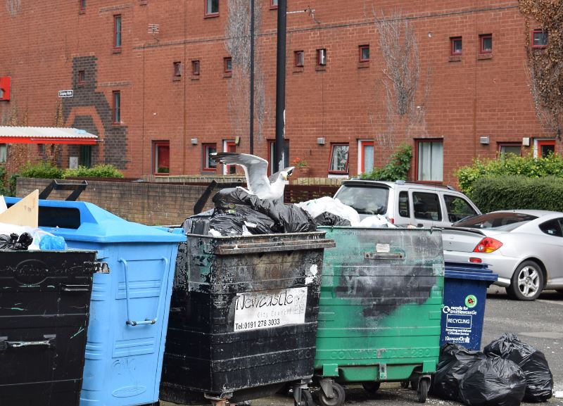 Photographs Of Newcastle: Byker Wall