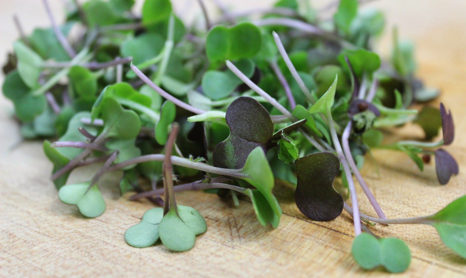 Using a slotted spoon, layer the beef on the warm tortilla and top with ...