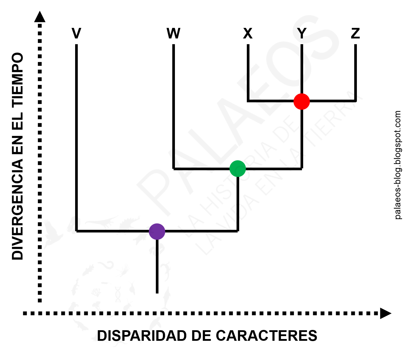 Palaeos, la historia de la Vida en la Tierra: Cómo leer un cladograma