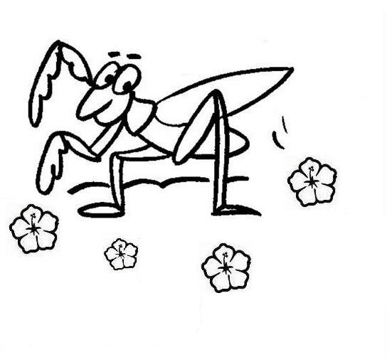 Coisinhas para Crianças: DESENHOS DE GRILO PARA COLORIR