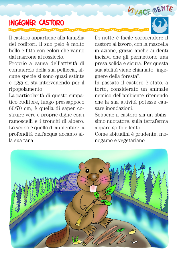 VIVACEMENTE il giornalino del cuore e della mente: Il castoro ...