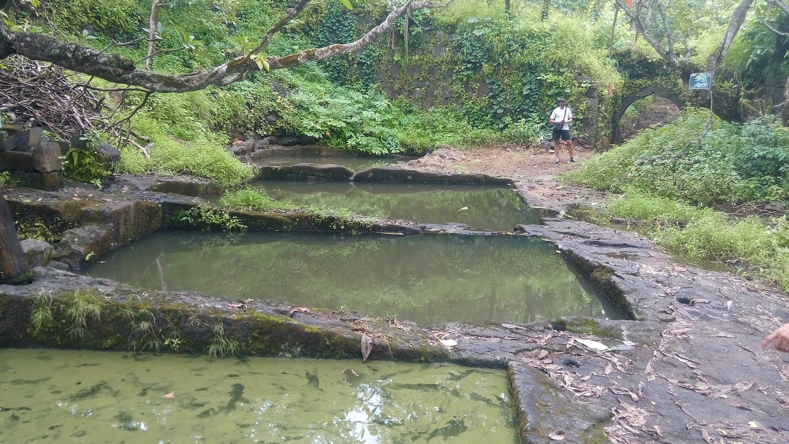 Avchitgad Fort near Roha in Raigad district in Maharashtra | The ...