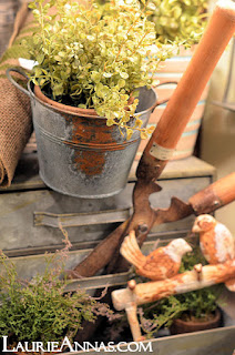 LaurieAnna's Vintage Home: On Your Mark, Get Set, Grow!