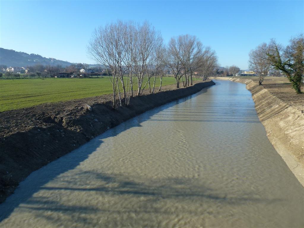 Argini del fiume Musone