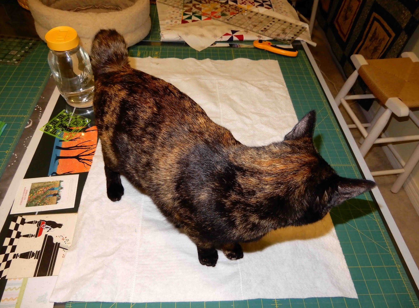 Cat Patches: Piles of Pinwheels