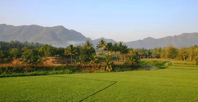 Theni One: Cumbum History