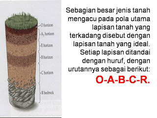 PEMBIAKAN DAN PENGURUSAN TANAMAN: PENGUJIAN TEKSTUR TANAH BATAS 7