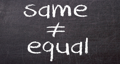 Empowered Through Torah: Pursuing Inclusion: Equal Does Not Mean Same ...