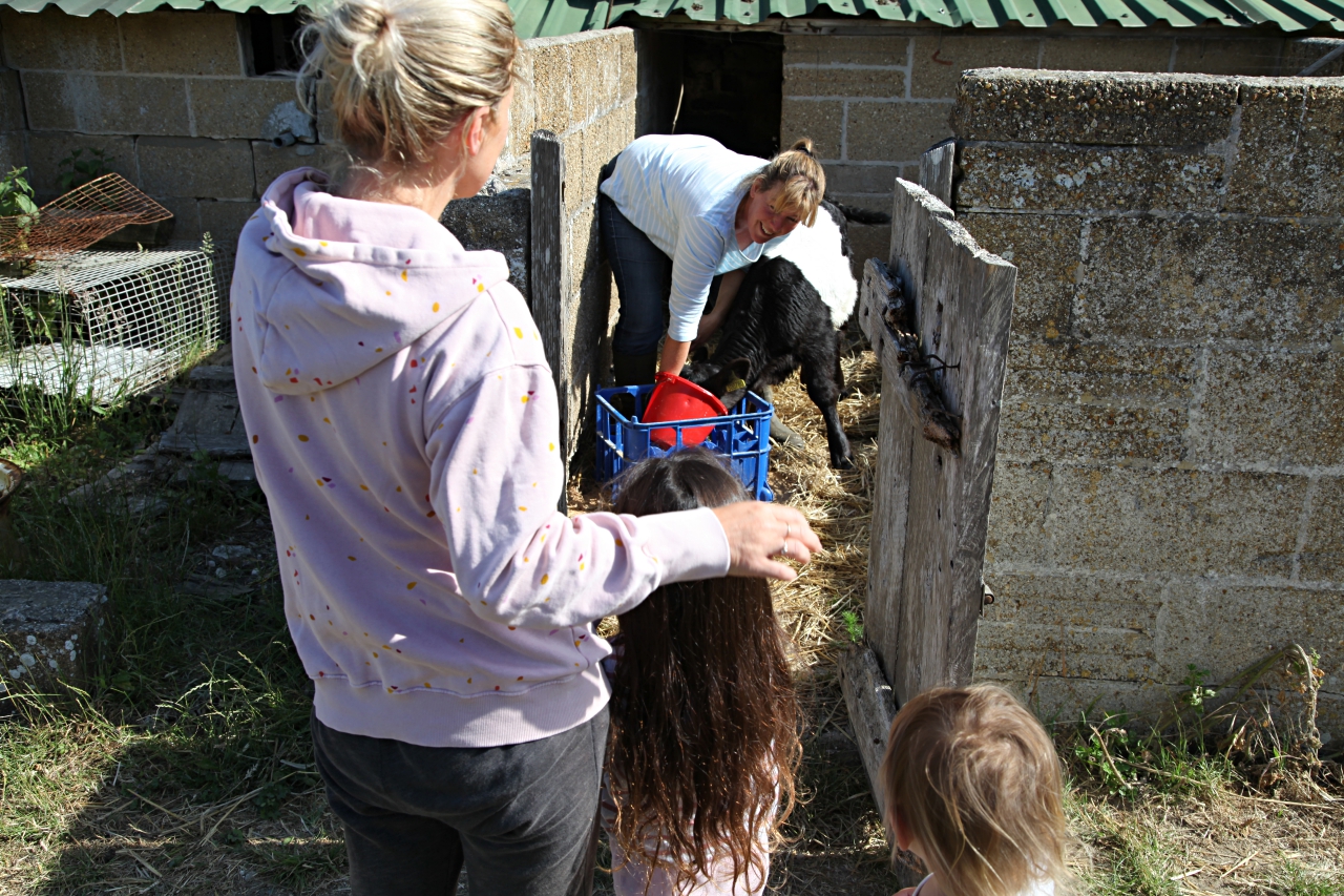 Compton Farm Camping | Journal