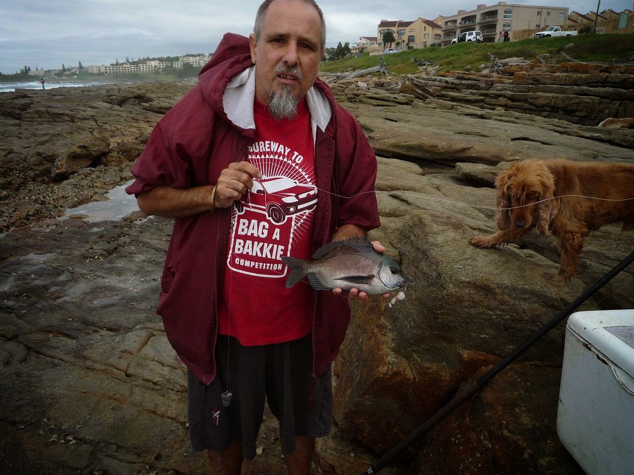 Fishing trips along the KZN South Coast: Bronze bream set free on ...