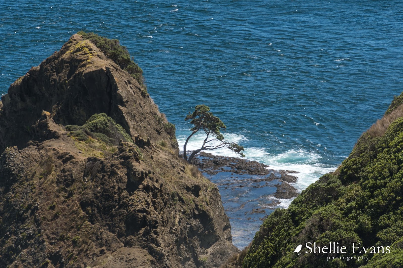 Two Go Tiki Touring: Where the Spirits Head Home- Cape Reinga