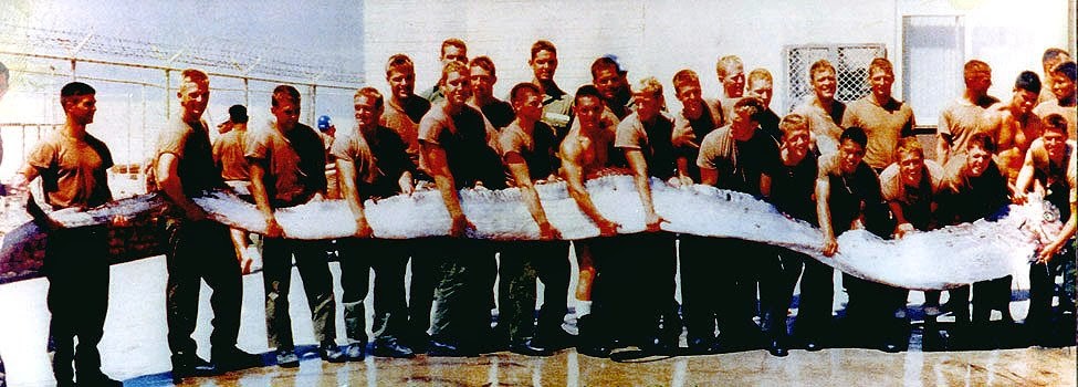 ปลาพญานาค ( Oarfish ) - ความรู้ทั่วไป สาระน่ารู้ เรื่องราวน่าสนใจ ...