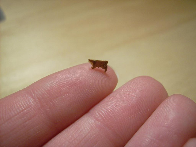 Fresh Pics: World's Smallest Origami by Anja Markiewicz